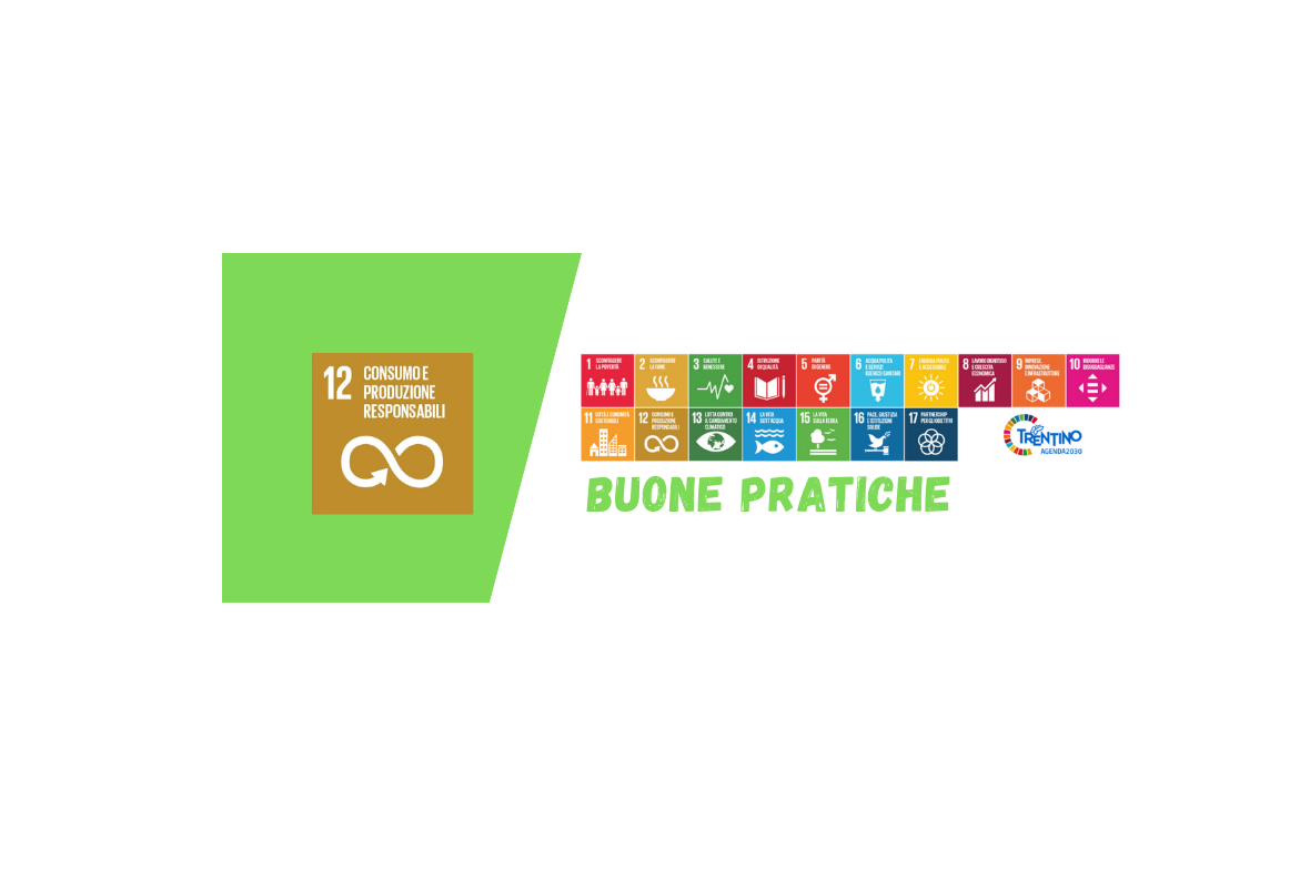 Goal 12 - Consumo e produzione responsabili